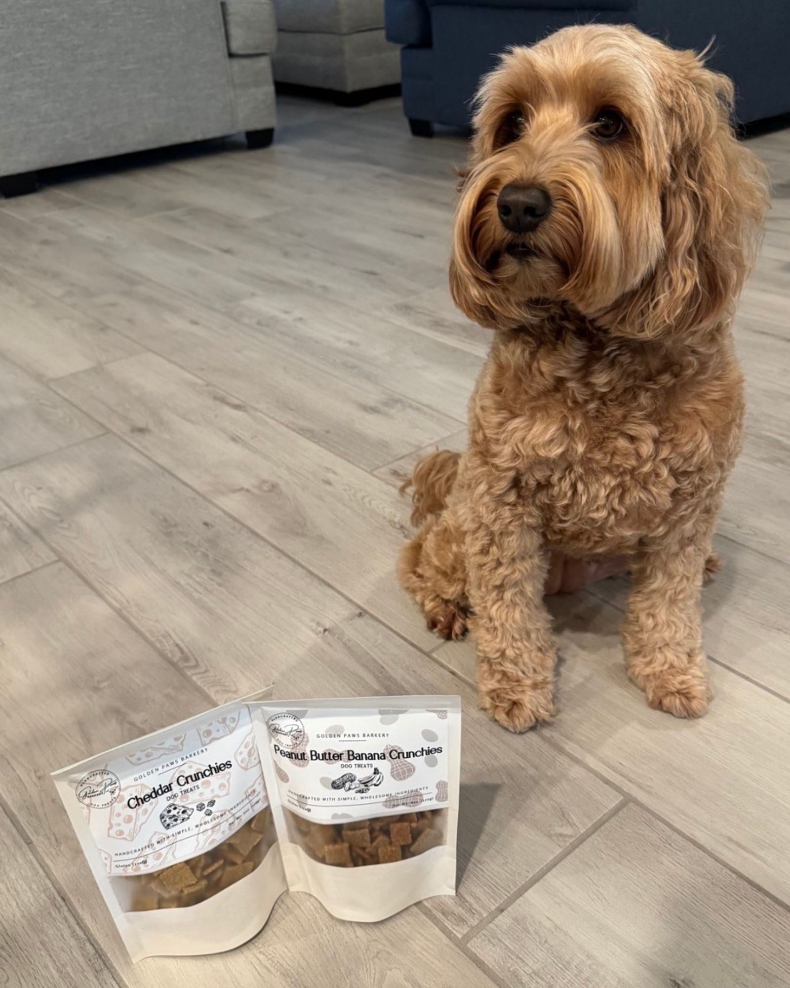 Golden Paws Barkery