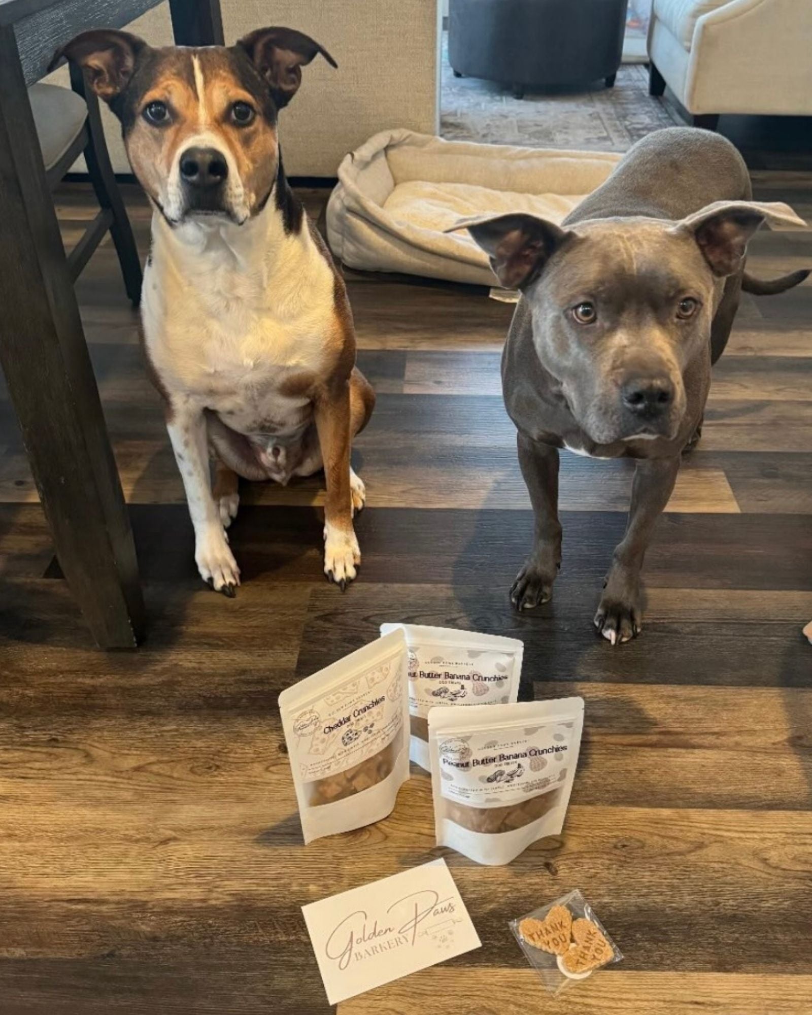 Golden Paws Barkery